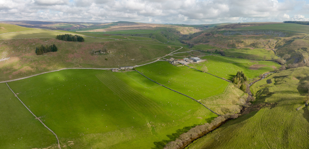 The Telfit Farm Project | Regenerative Farming – eatTelfit